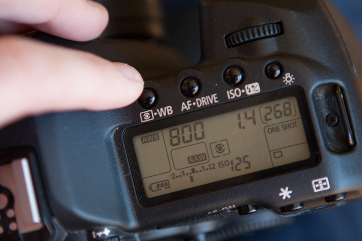 Custom White Balance ~ My take » Cherise Kiel Photography