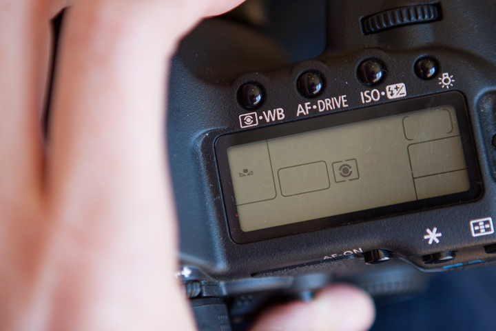 Custom White Balance ~ My take » Cherise Kiel Photography